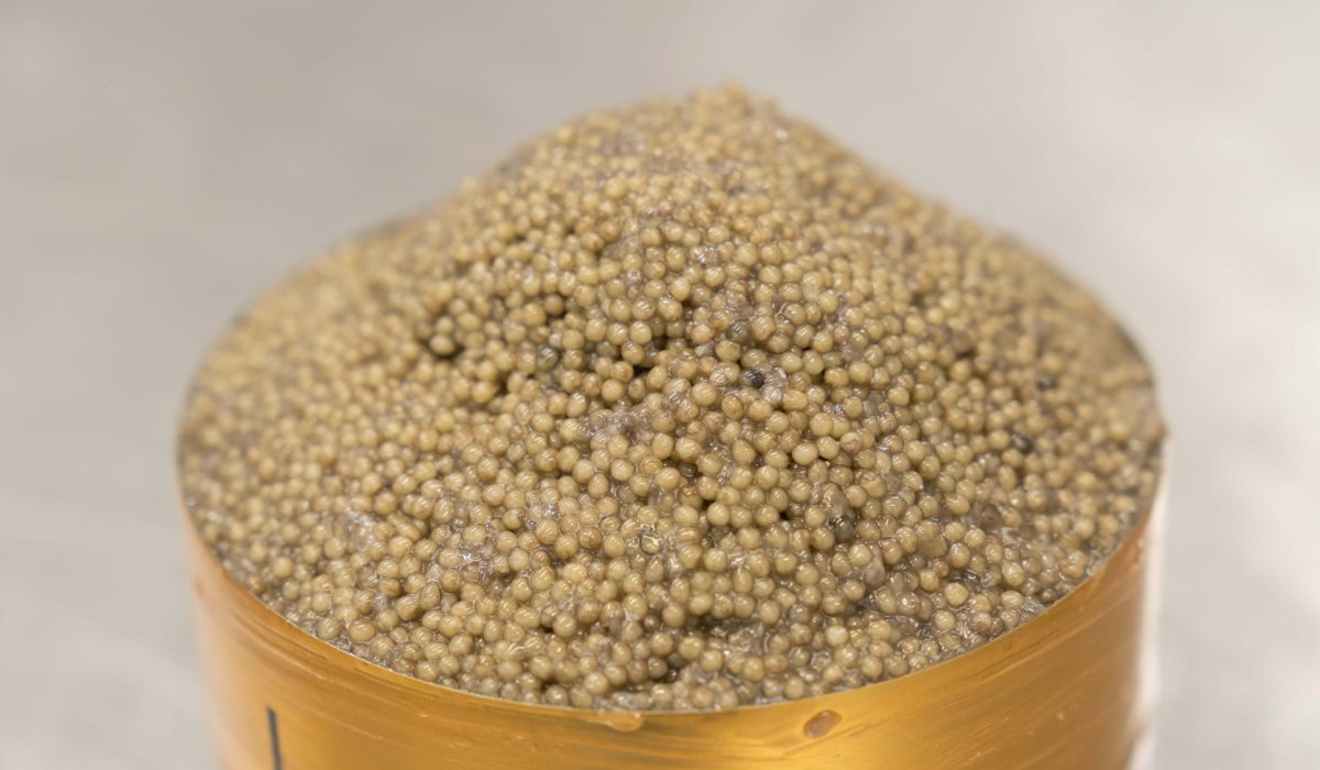 Quel est le caviar le plus cher ? – Producteur Français De Caviar