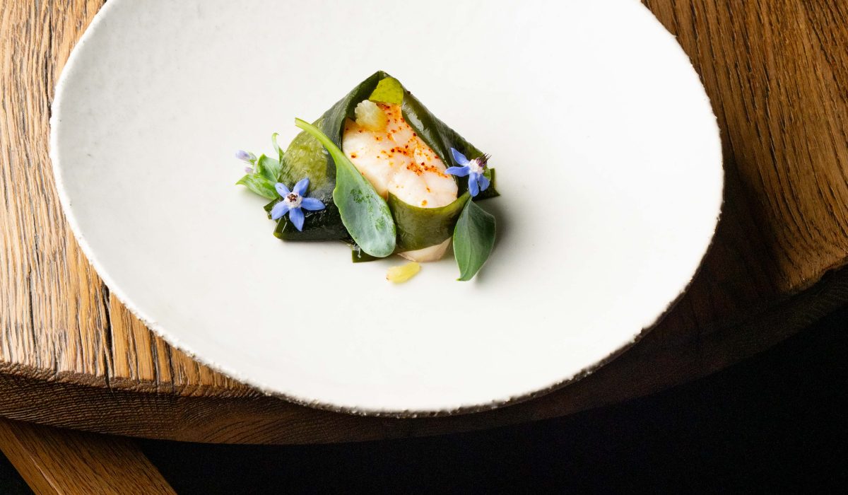 Médaillon d’esturgeon wakamé et dashi - Producteur Français De Caviar